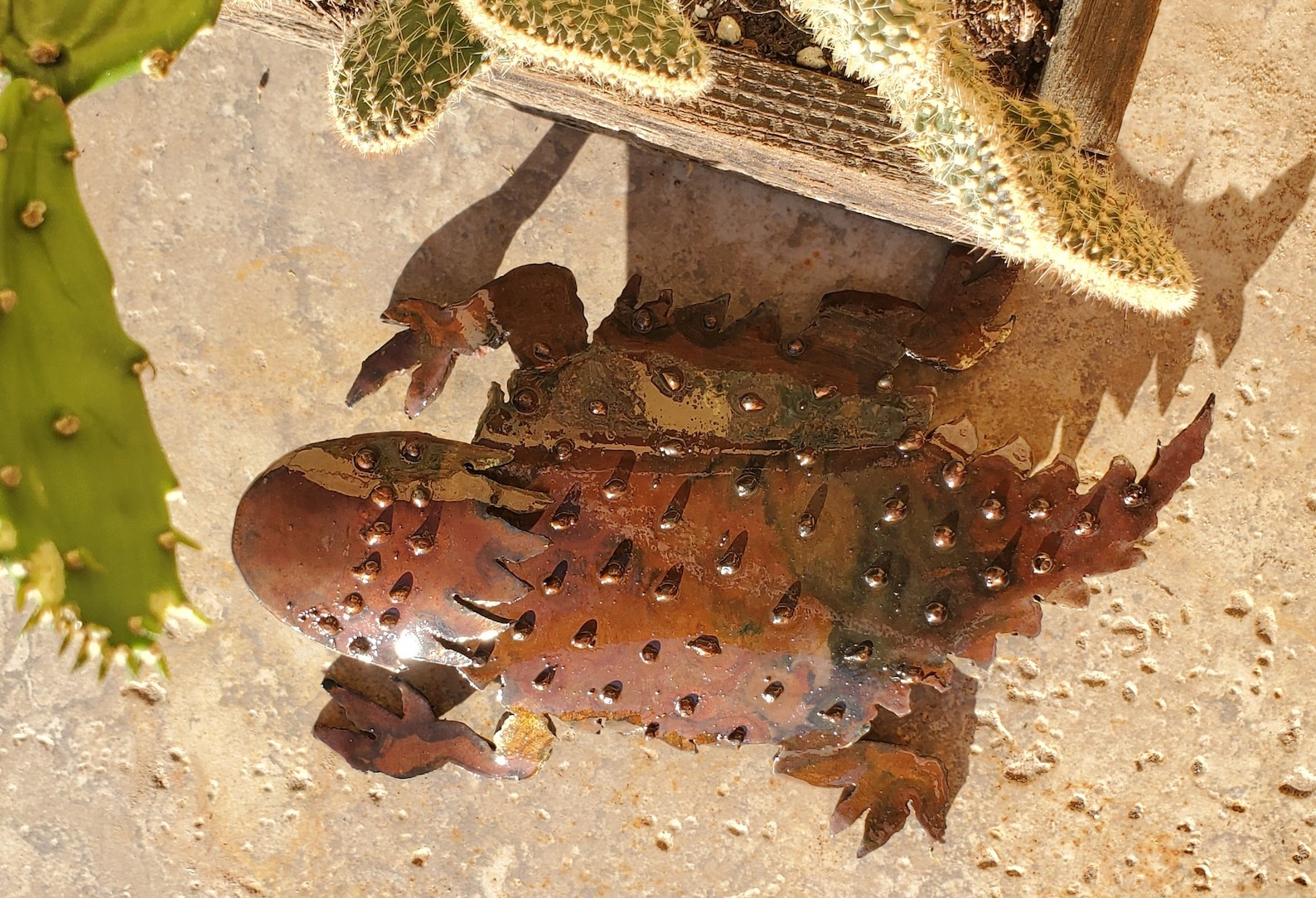 Iron Horny Toad Horned Lizard | Metal Art ~ Southwest Sonoran Desert ...