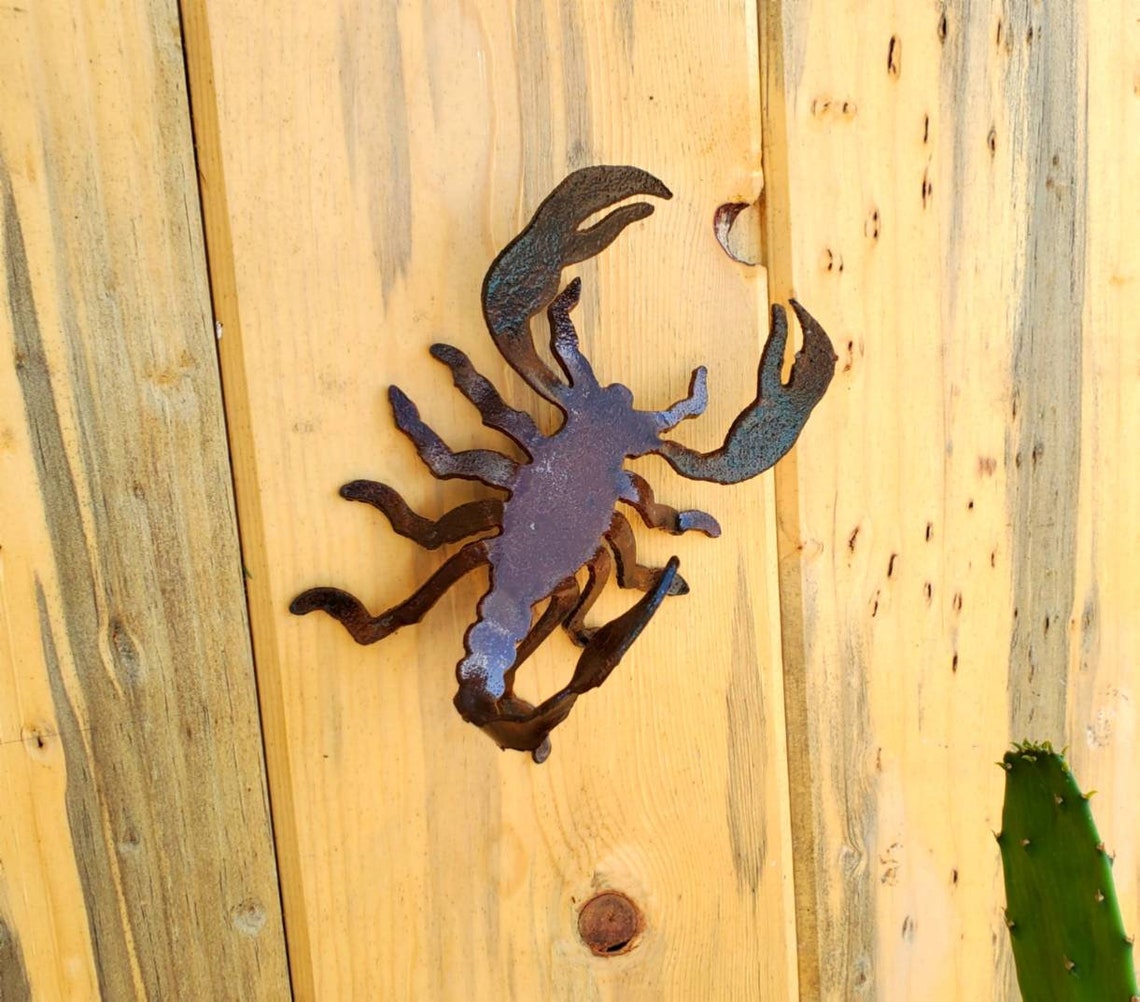 Iron Scorpion | Metal Art ~ 6" X 4.5" Iron Southwest Sonoran Desert ...