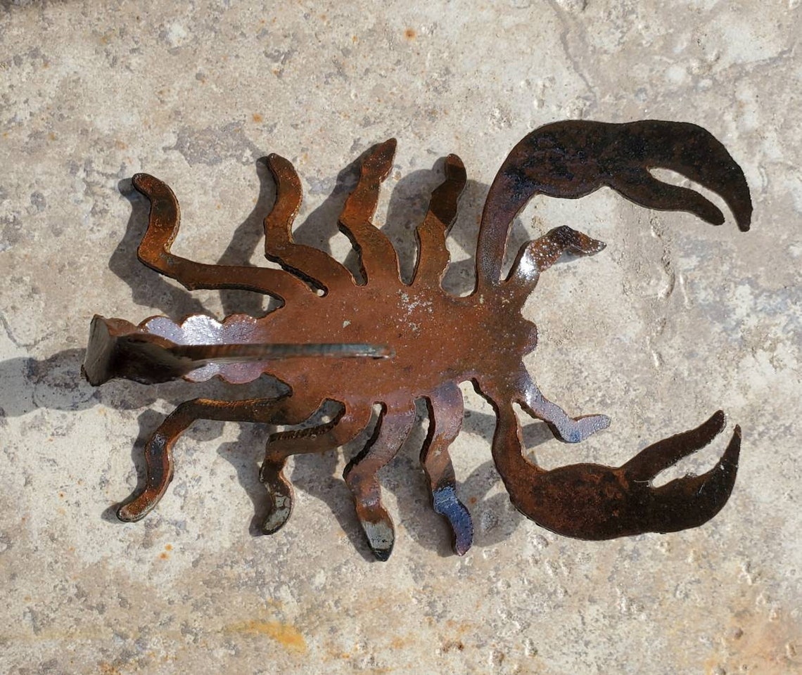 Iron Scorpion | Metal Art ~ 6" X 4.5" Iron Southwest Sonoran Desert ...