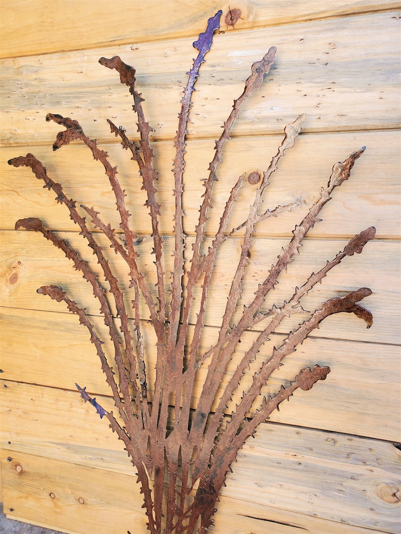 Ocotillo Succulent Cactus Rusted Iron Metal Wall Art - Etsy