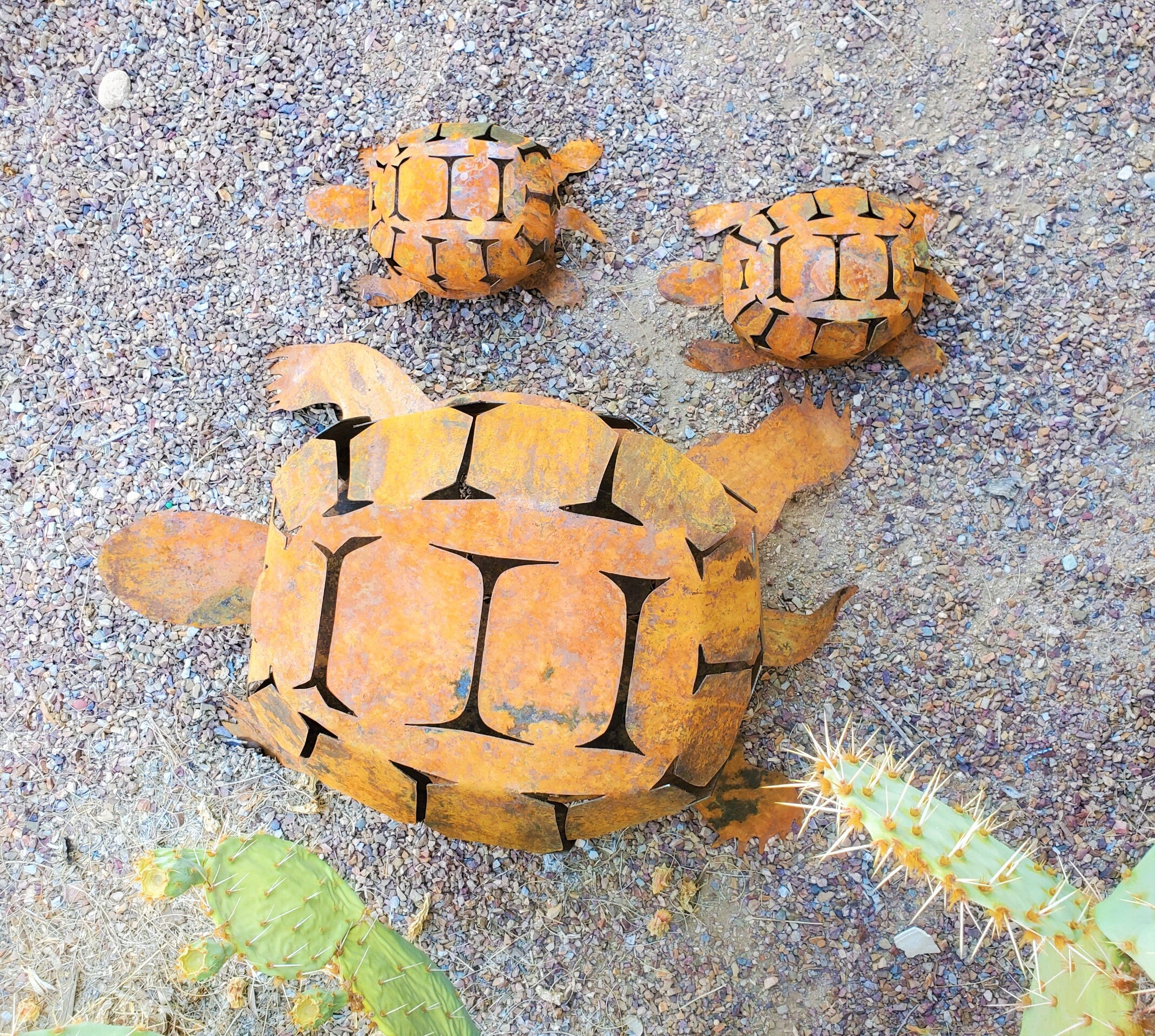 Iron Desert Tortoise | Metal Yard Art ~ Garden Gnome Southwest Sonoran ...