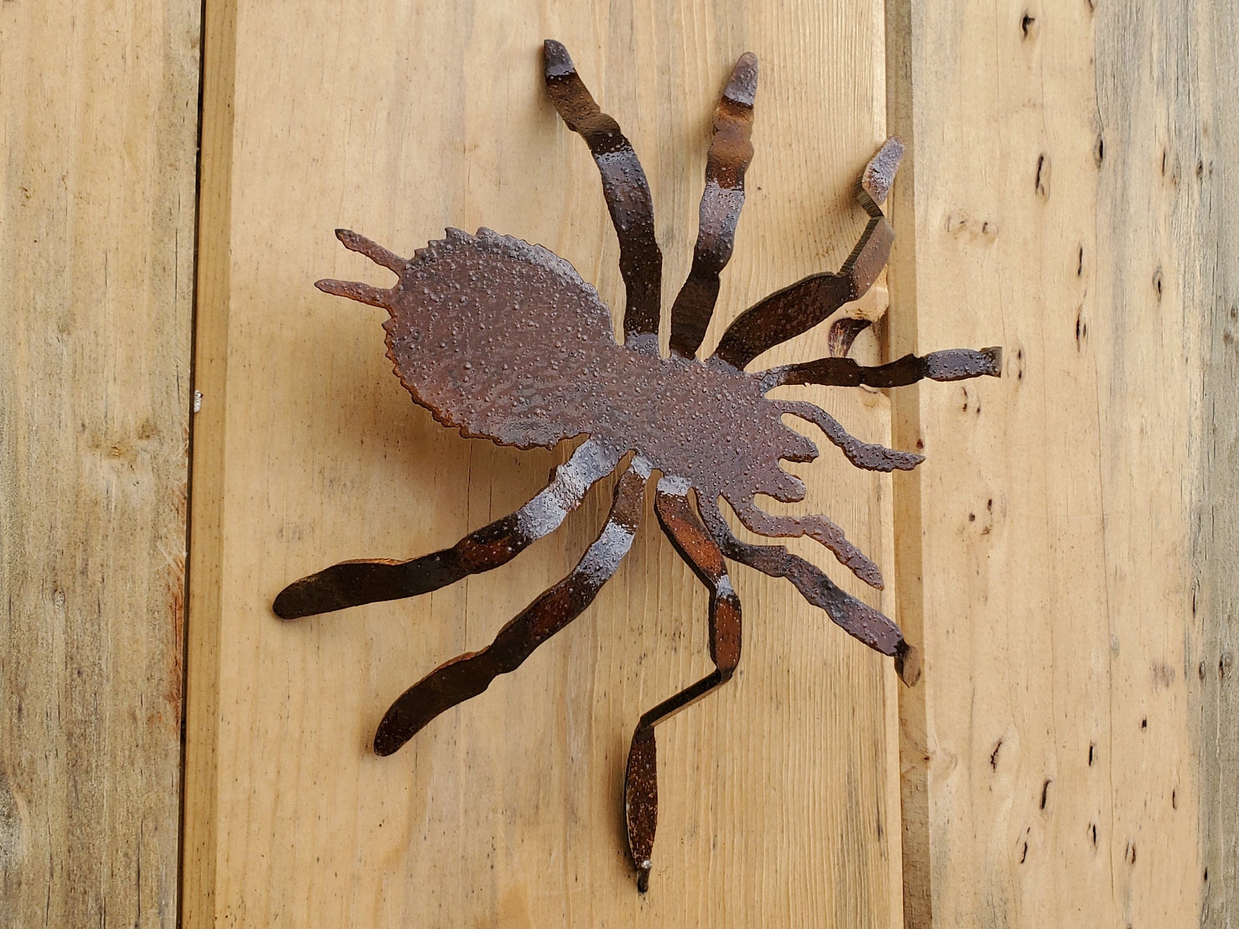 Iron Tarantula | Rusted Metal Art ~ Desert Spider Southwest Sonoran ...