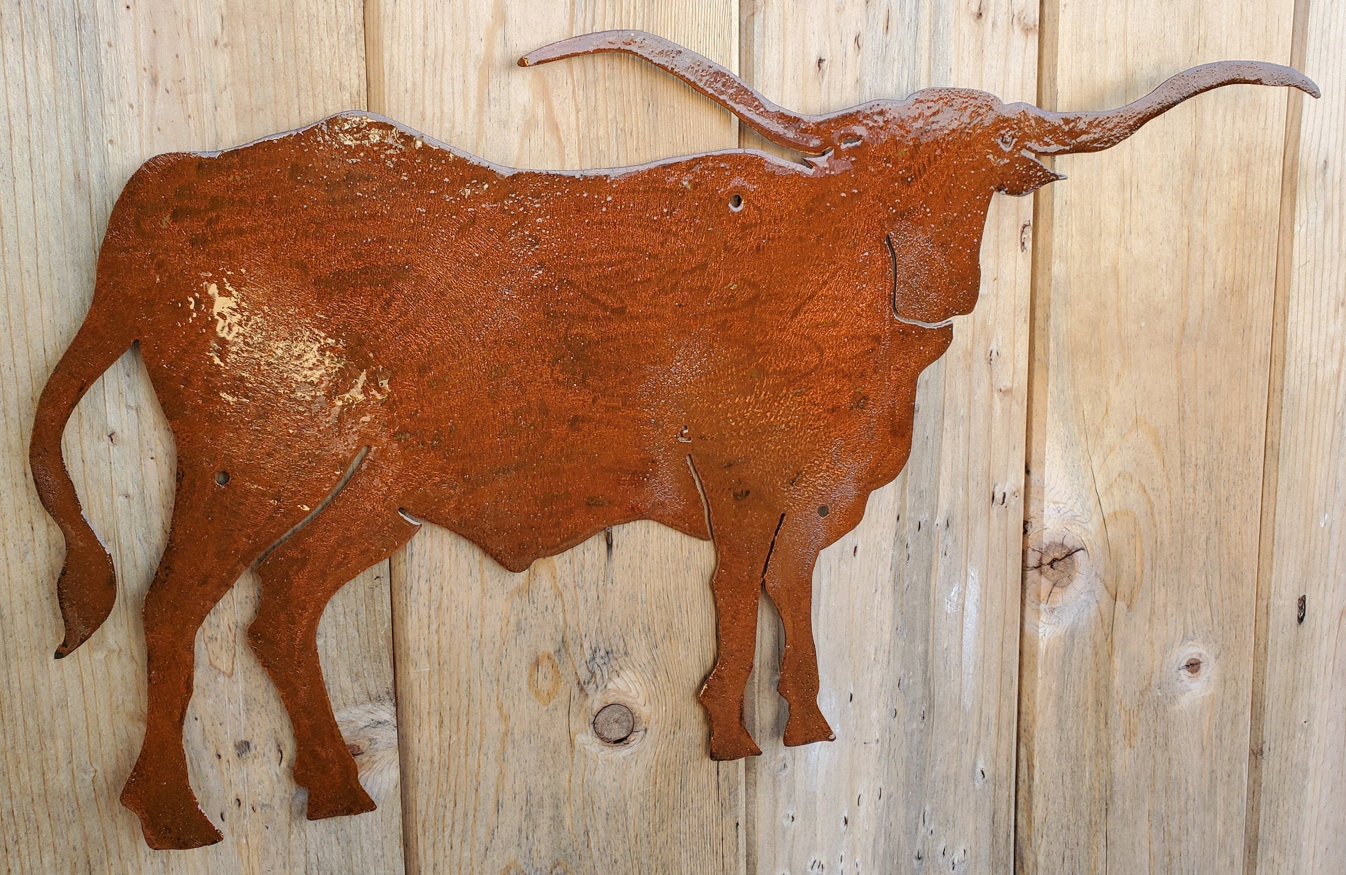 Iron Longhorn Steer | Metal Wall Art ~ Flat Mounted Southwest Sonoran ...