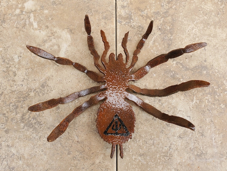 Iron Tarantula | Rusted Metal Art ~ Desert Spider Southwest Sonoran ...
