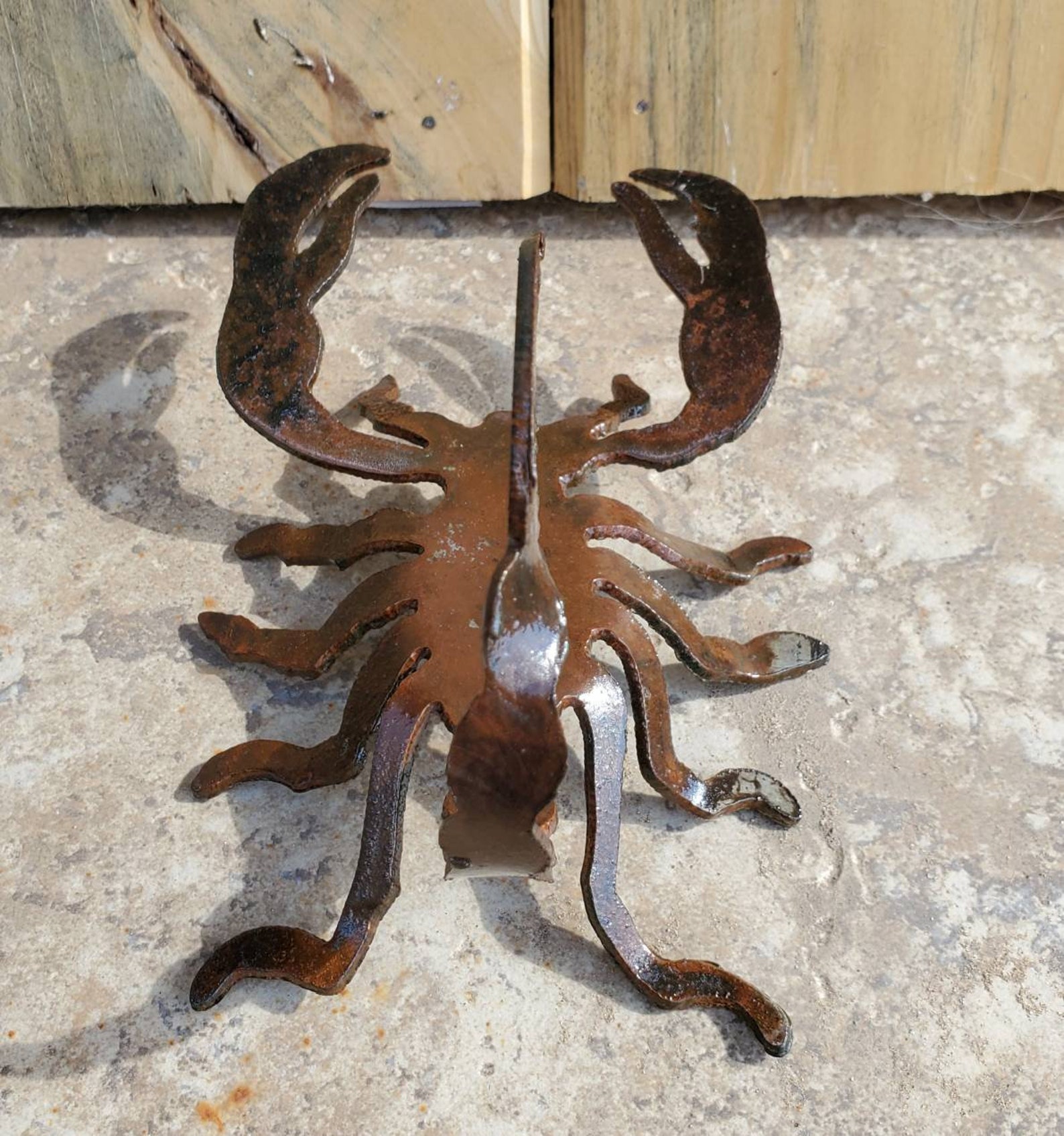 Iron Scorpion | Metal Art ~ 6" X 4.5" Iron Southwest Sonoran Desert ...