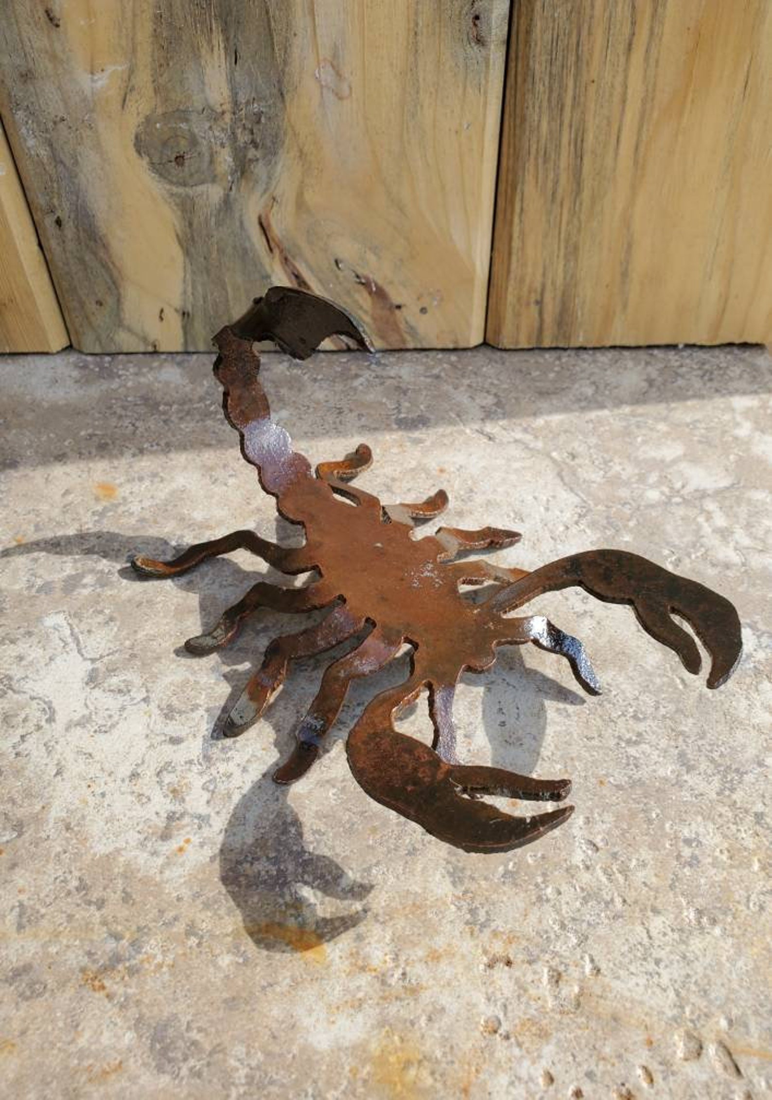 Iron Scorpion | Metal Art ~ 6" X 4.5" Iron Southwest Sonoran Desert ...