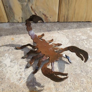 Iron Scorpion | Metal Art ~ 6" X 4.5" Iron Southwest Sonoran Desert ...