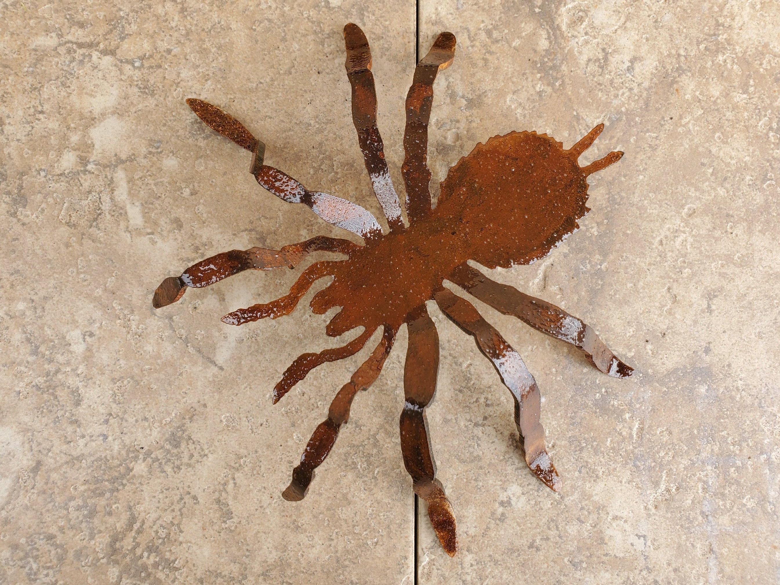 Iron Tarantula | Rusted Metal Art ~ Desert Spider Southwest Sonoran ...