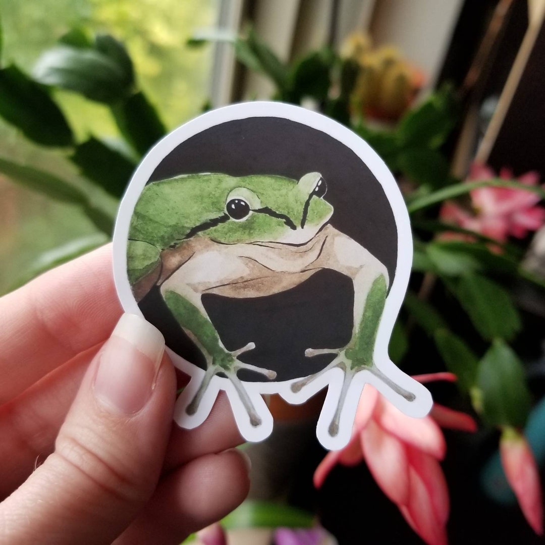 Pacific Tree Frog / Matte Sticker / PNW Wildlife Artwork / - Etsy