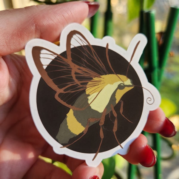 Hummingbird Moth - Etsy