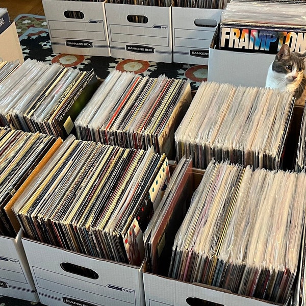 Vinyl Record Bag - Etsy