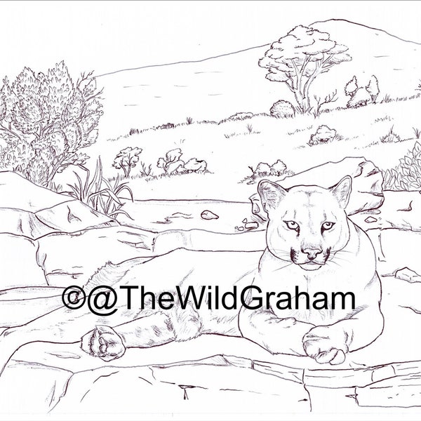 Puma Coloring Page - Etsy UK
