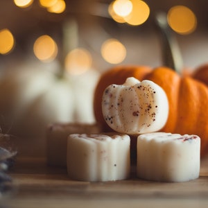 Autumn Scented Soy Pumpkin Wax Melts | Halloween Wax Melts | Pumpkin ...