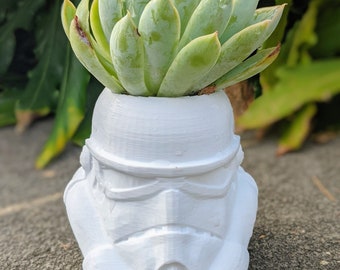 Death Star Planter Succulent Planter Pot Star Wars Geeky - Etsy