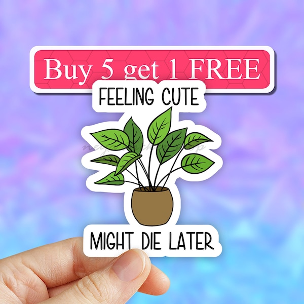 Feeling Cute Might Die Later Plant Pot - Etsy