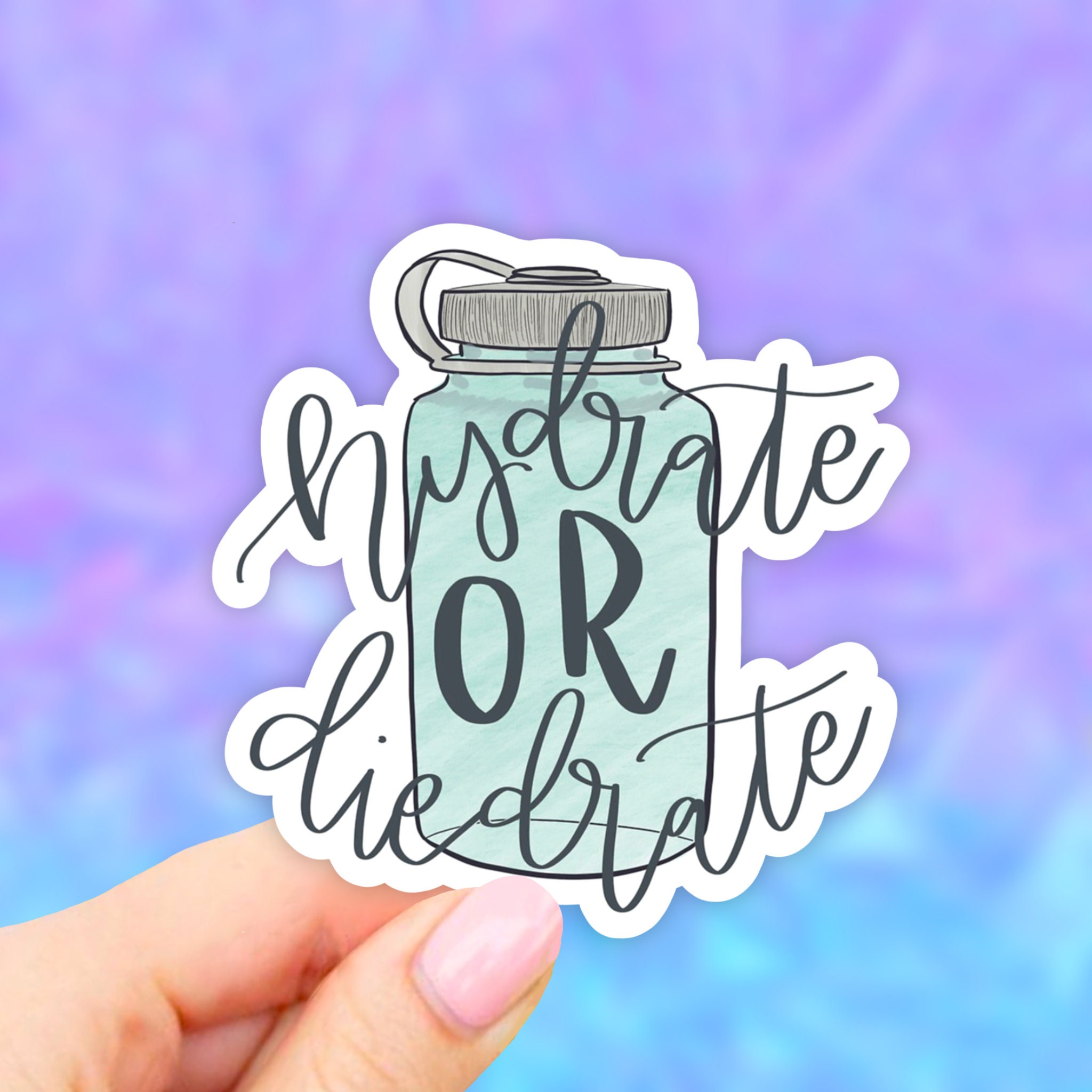 Water bottle Hydrate or Die-drate Sticker Waterbottle | Etsy