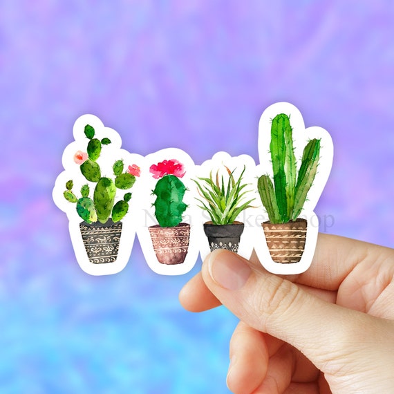 Succulent Pots Sticker Cactus Stickers Plant Mom Lady - Etsy