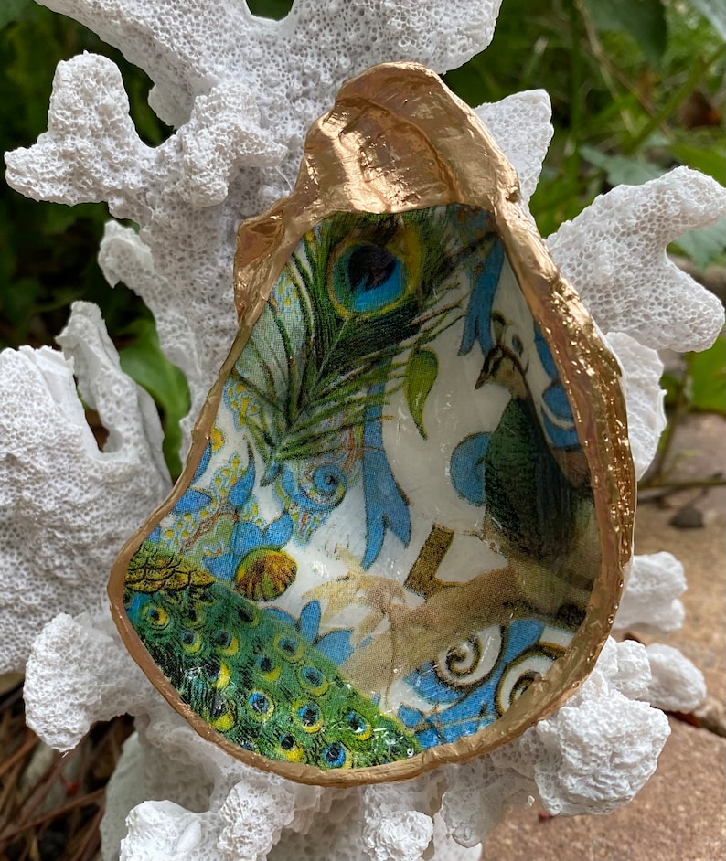 Peacock Oyster Shell Trinket Dish - Etsy