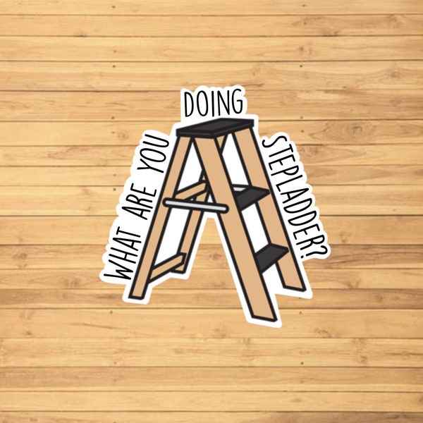 Meme Laptop Stickers - Etsy