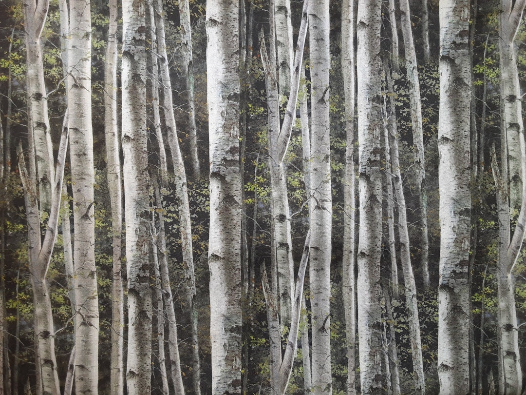 Made to Order Book Cover/holder for Hands-free Reading, 4 Sizes, Book ...