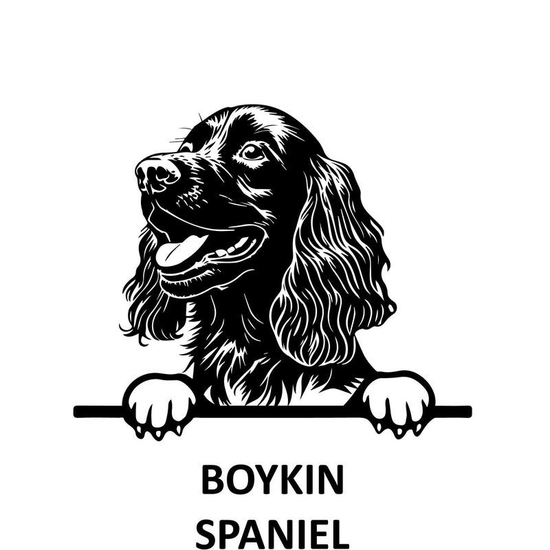 Boykin Spaniel - Etsy