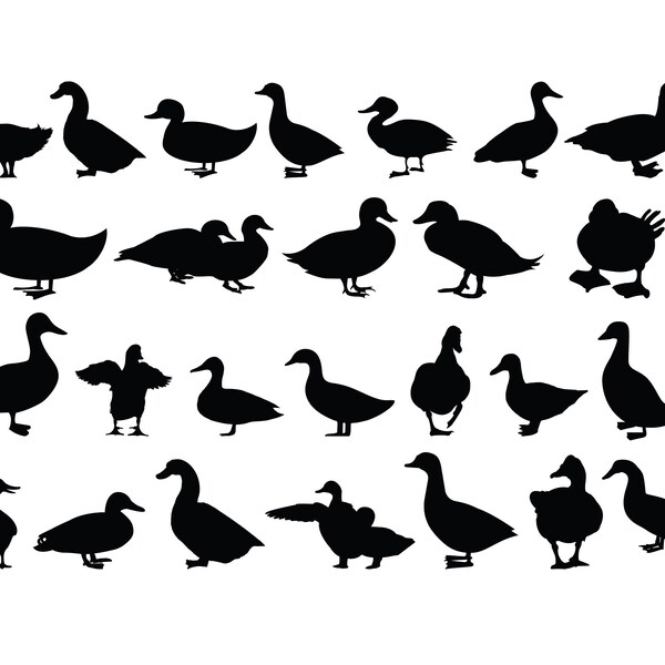 Duck Svg - Etsy