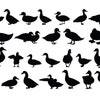 DUCK SVG, FARM Animals Svg, Farm Animal Svg Cut Files for Cricut, Duck ...