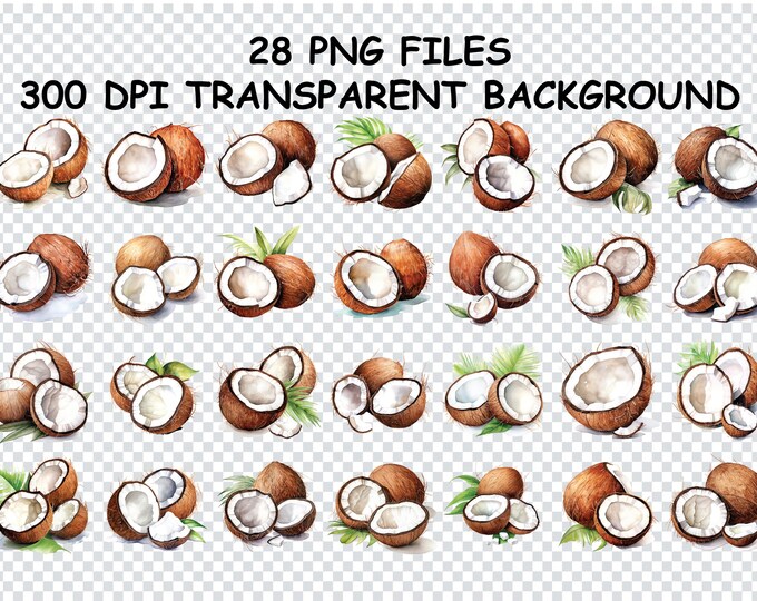 Coconut Art Print, Coconut, Realistic Art, Wall Decor, Kitchen Art ...