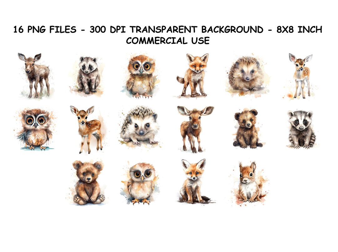 WOODLAND ANIMALS Clipart WATERCOLOR, Woodland Animals Clipart Png Files ...