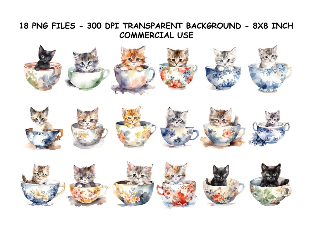 WATERCOLOR KITTEN in a CUP Clipart, Kitten in a Cup Clipart Png, Kitten ...