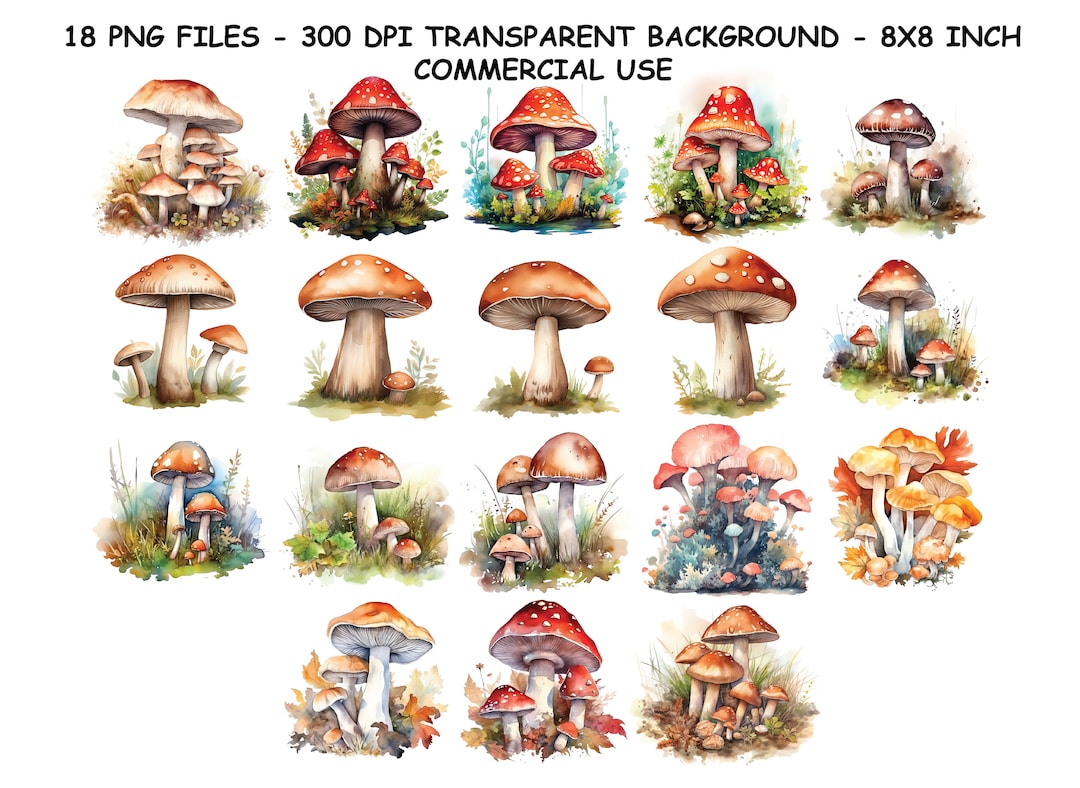 WATERCOLOR MUSHROOMS CLIPART, Watercolor Mushrooms Png for Commercial ...