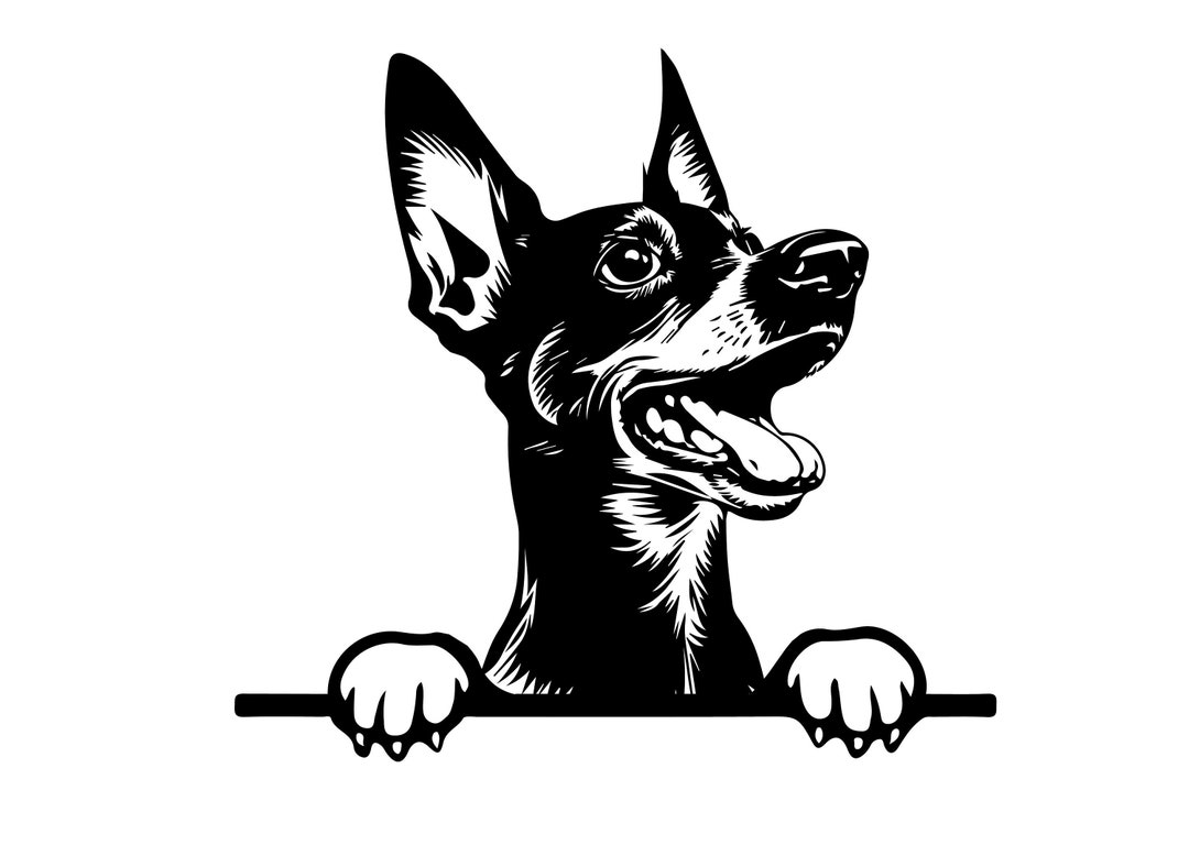PEEKING MINIATURE PINSCHER Svg, Peeking Miniature Pinscher Svg Files ...