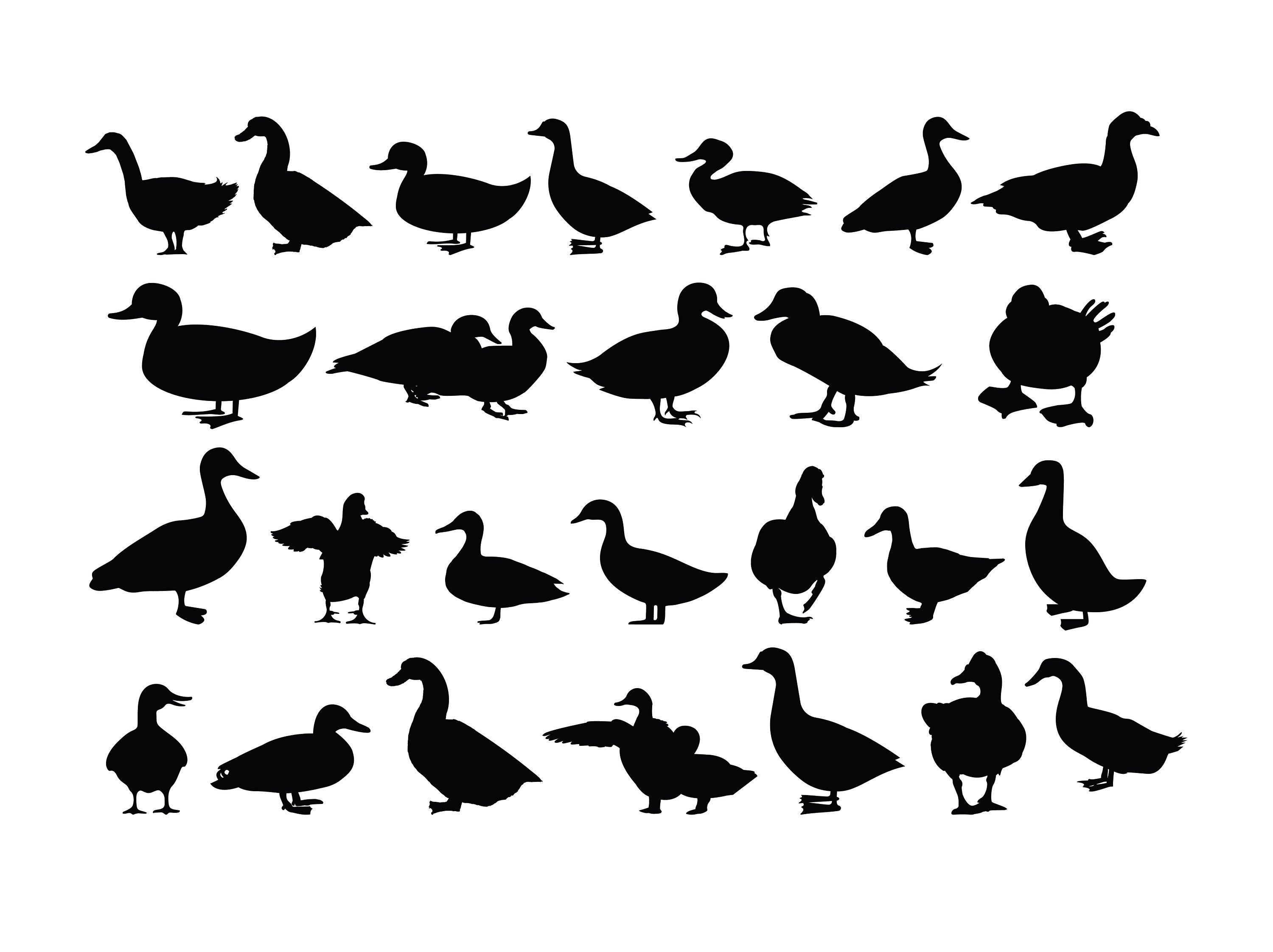 DUCK SVG, FARM Animals Svg, Farm Animal Svg Cut Files for Cricut, Duck ...