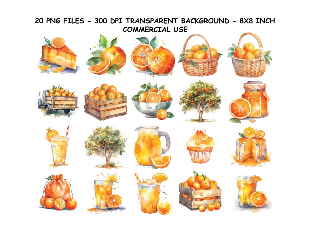 WATERCOLOR ORANGES CLIPART, Watercolor Oranges Png for Commercial Use ...