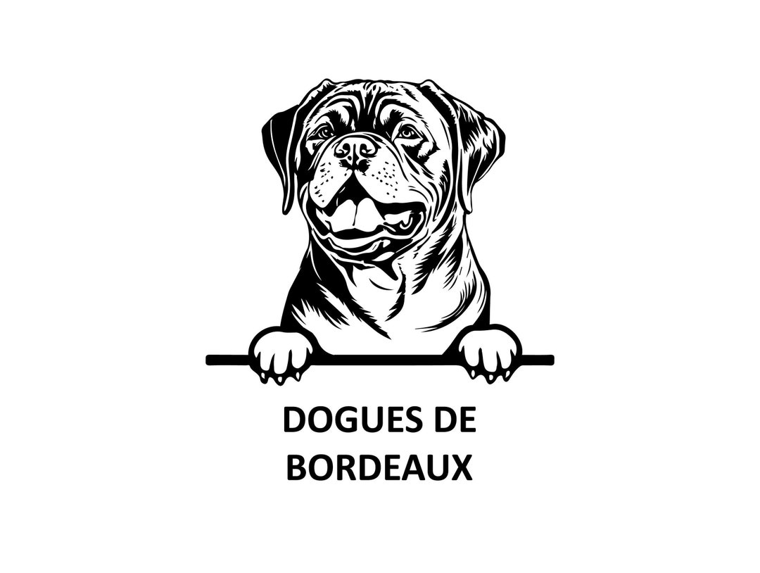 PEEKING DOGUES De BORDEAUX Svg, Peeking Dogues De Bordeaux Svg Files ...