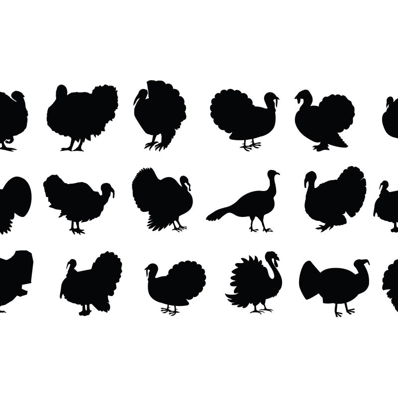 Turkey Svg - Etsy