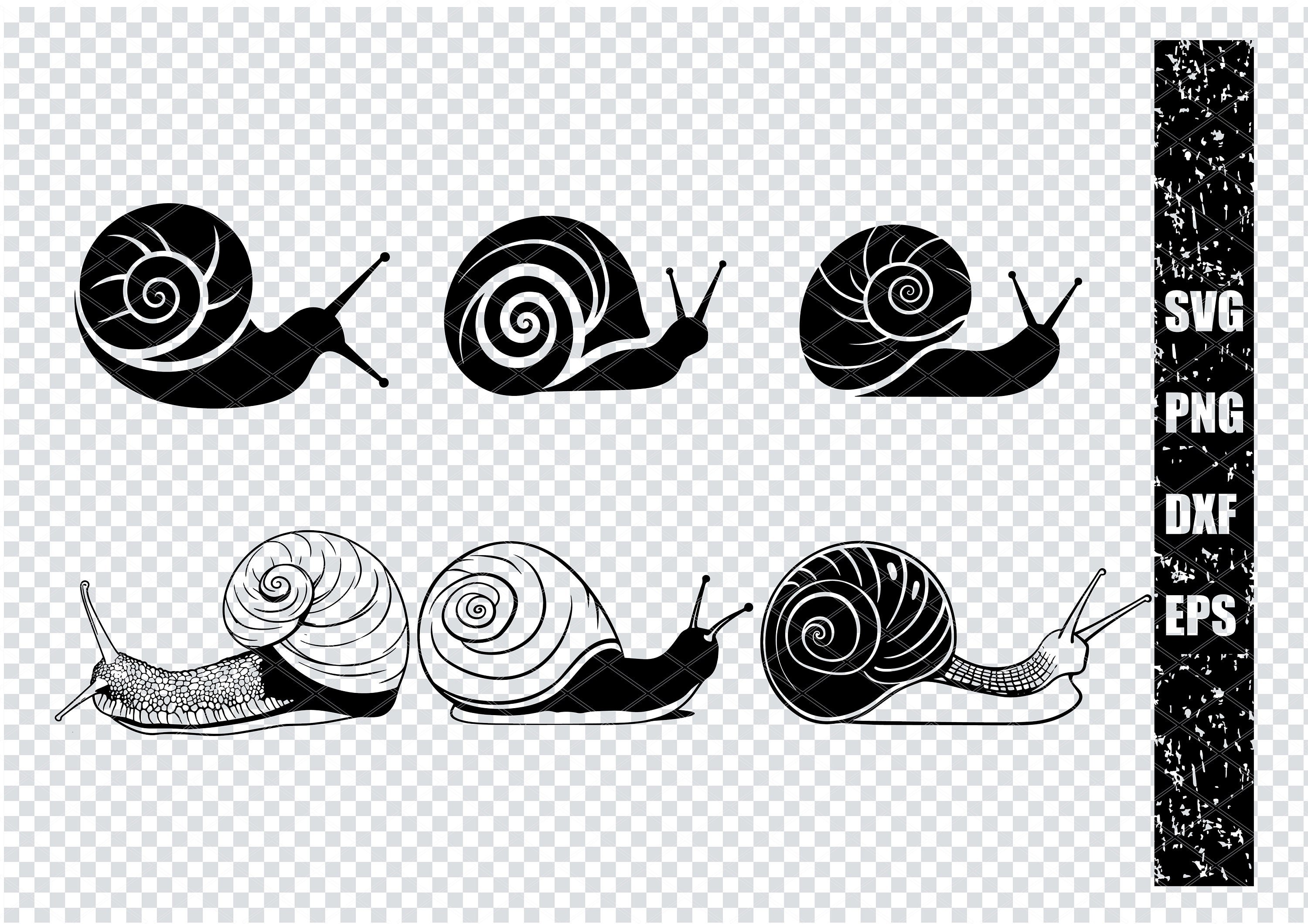 SNAIL SVG, SNAIL Archivos SVG para Cricut, Snail Clipart, Snail Laser ...