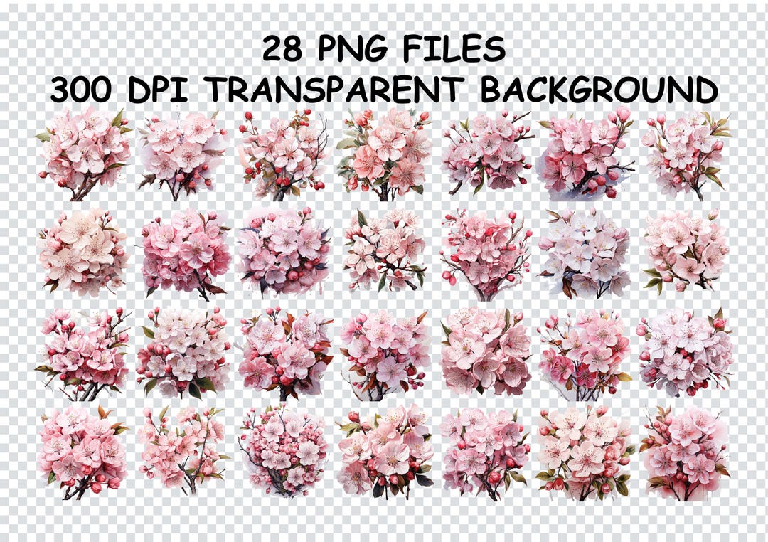 CHERRY BLOSSOM PNG, Floral Watercolor Clipart, Sakura Flower Art ...