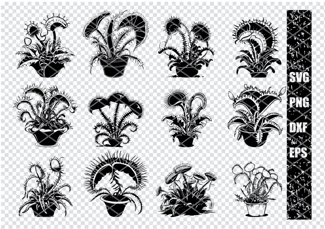 VENUS FLYTRAP SVG Carnivorous Plant Svg Svg Files for Cricut - Etsy