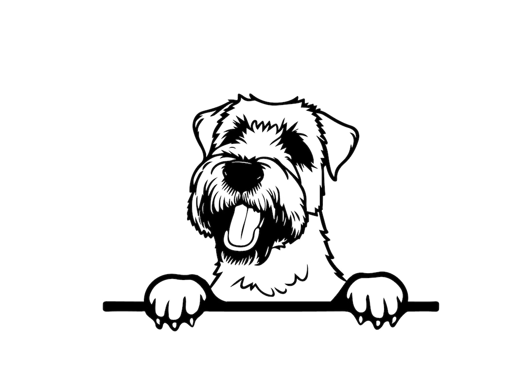 PEEKING SOFT COATED Wheaten Terrier Svg, Peeking Soft Coated Wheaten ...