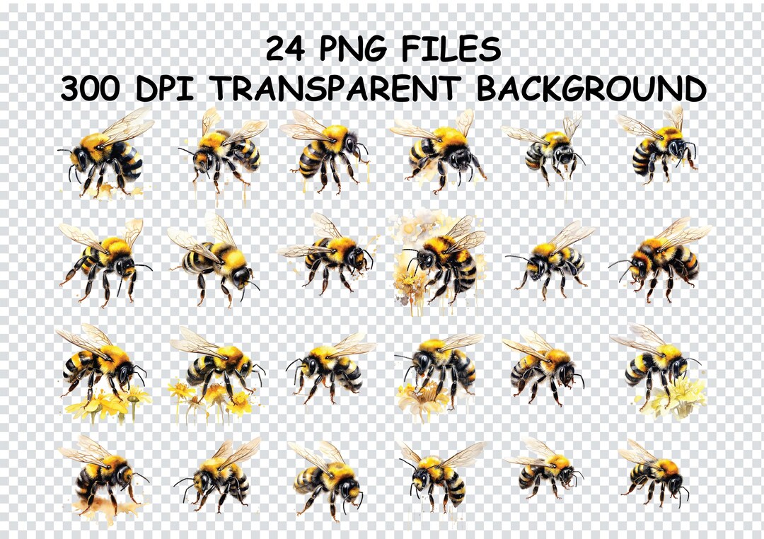 BUMBLEBEE PNG PRINT, Watercolor Bee, Honeybee Painting, Botanical Bee ...