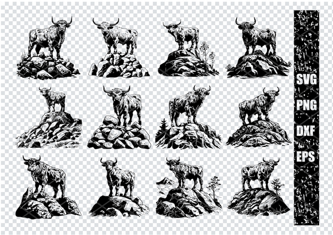 VACHE HIGHLAND SVG, fichiers Svg de vache Highland pour Cricut, Clipart ...