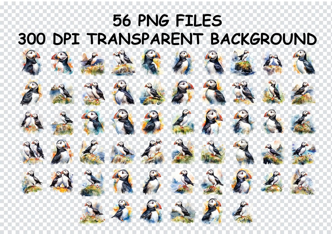 PUFFIN BIRD PNG, Coastal Decor Png, Bird Lover Gift, Unique Bird Png - Etsy