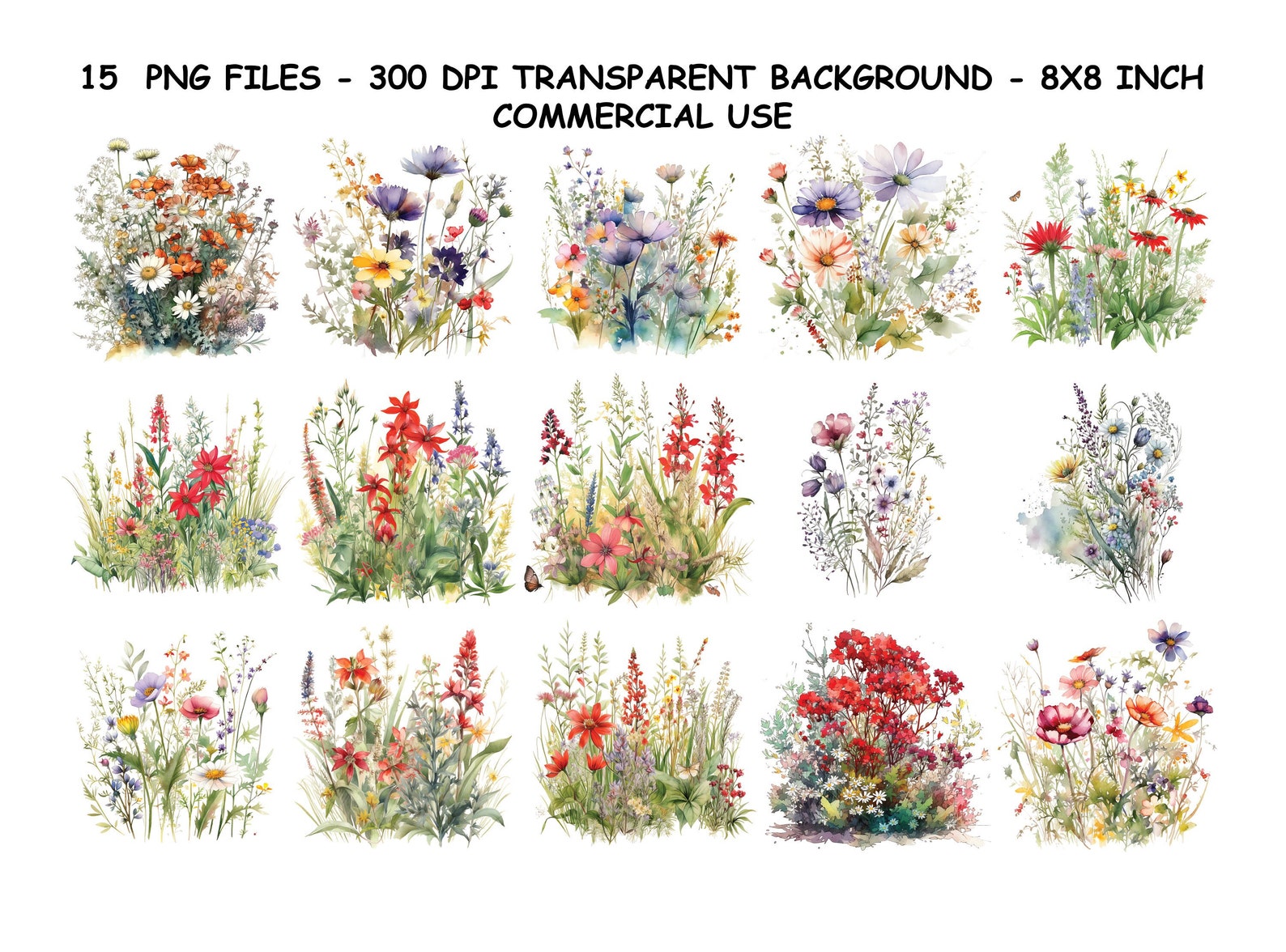 WATERCOLOR MEADOW FLOWERS Clipart, Meadow Flowers Png, Spring ...