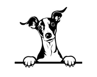 PEEKING GREYHOUND SVG, Peeking Greyhound Clipart, Peeking Greyhound Svg ...