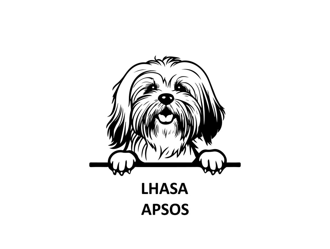 PEEKING LHASA APSOS Svg, Peeking Lhasa Apsos Svg Files for Cricut ...