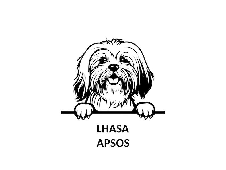 PEEKING LHASA APSOS Svg, Peeking Lhasa Apsos Svg Files for Cricut ...