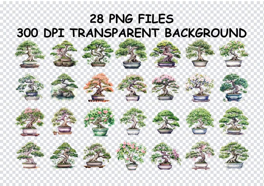 BONSAI TREE PNG, Watercolor Bonsai Clipart, Japanese Bonsai Art, Zen ...