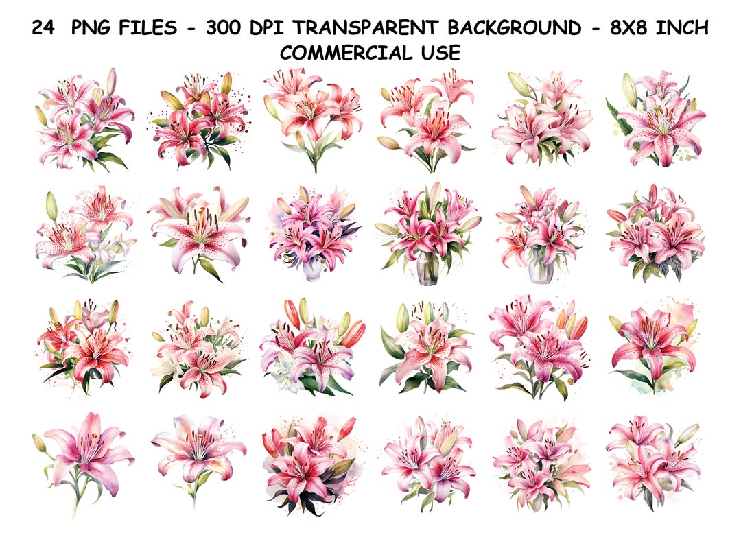 Watercolor PINK TIGER LILY Clipart, Watercolor Pink Tiger Lily Png ...