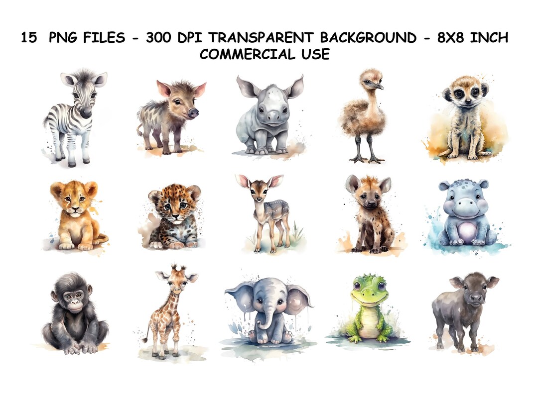 SAFARI BABY ANIMALS Watercolor Clipart, Jpgs, Safari Baby Animals Png ...
